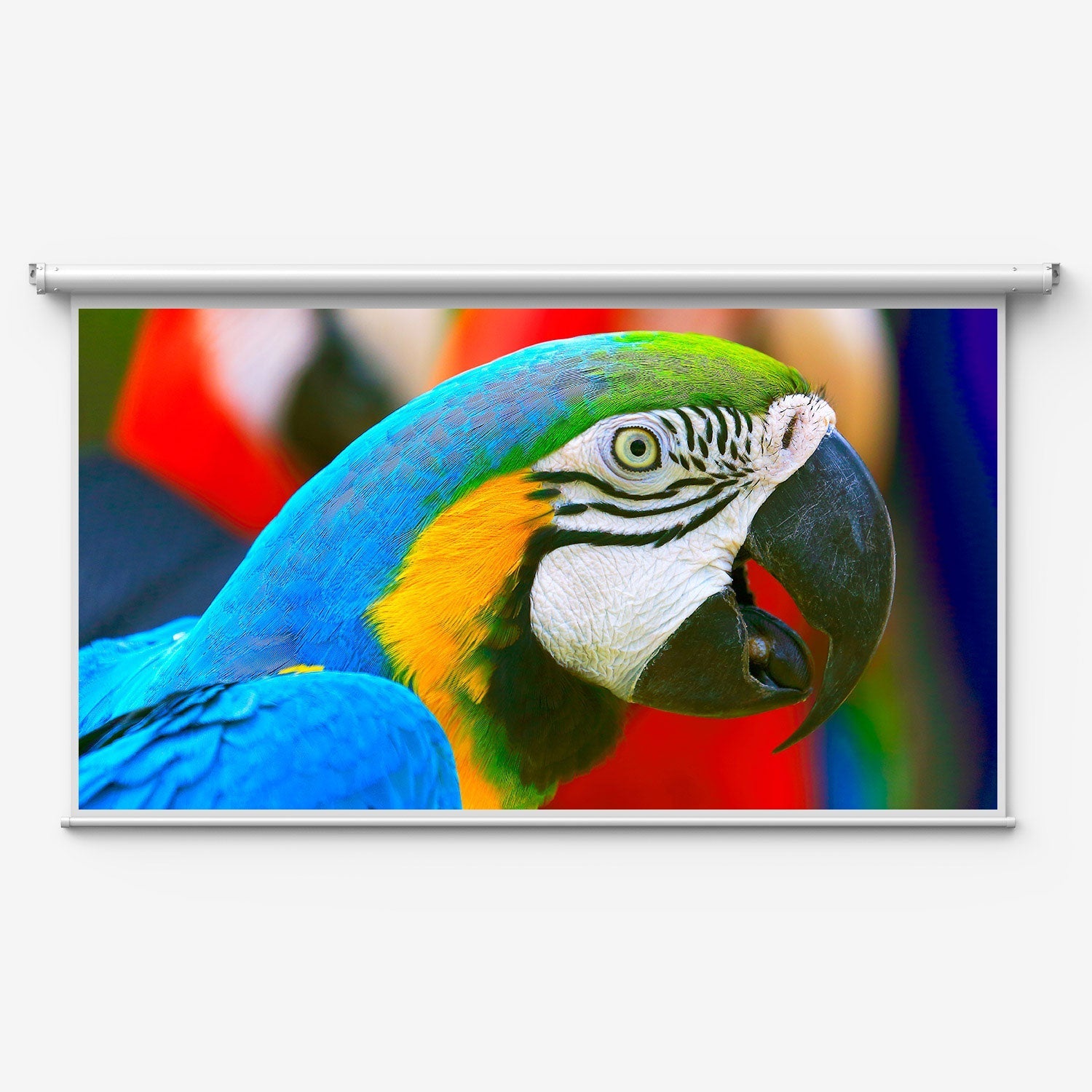 Nebula Capsule | Small Portable Movie Projector - Nebula | Smart Projectors